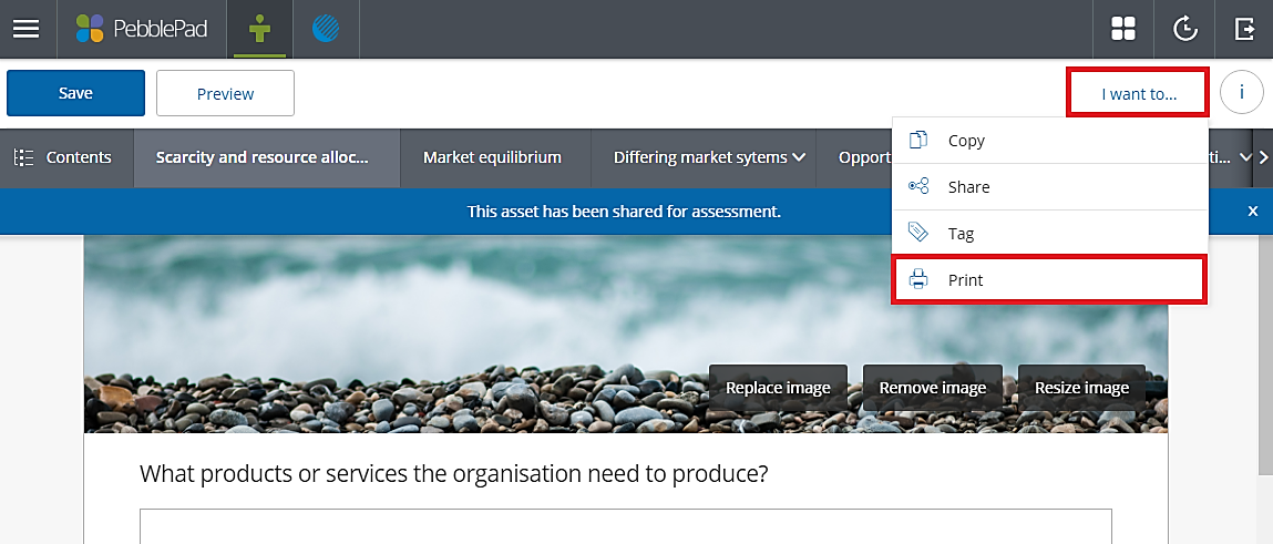 Pebble+ Printing and Exporting